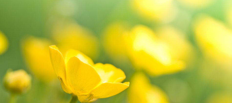 Healing Your Traumatized Heart: Seeking Safety, Understanding, and Pea ...